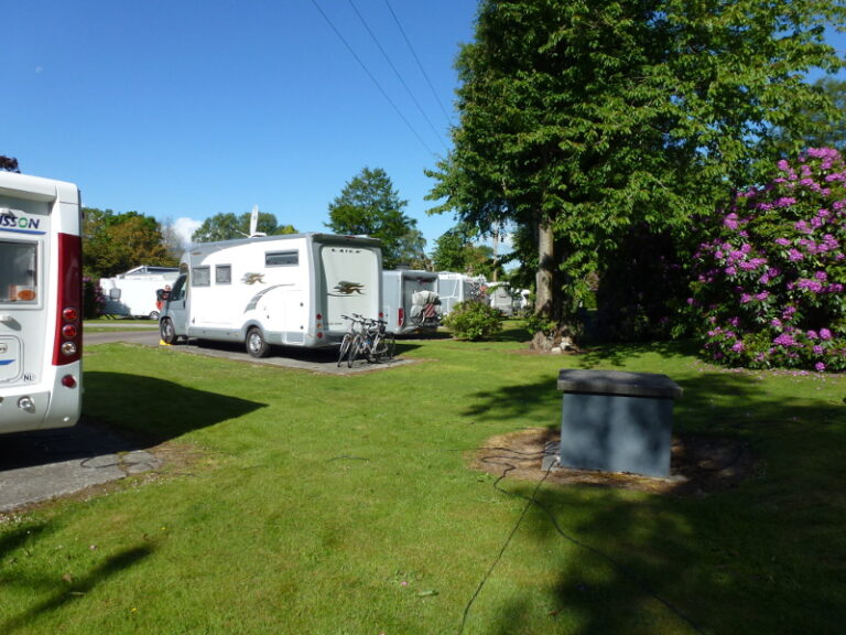 fossa-park-007 - Fossa Camping Killarney